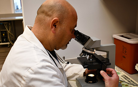 Pet Diagnostic Testing Wayne - Pet X-ray Wayne NJ | TRI County Animal ...