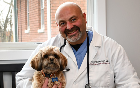 Pet Behavioral Counseling Wayne, NJ | TRI County Animal Hospital